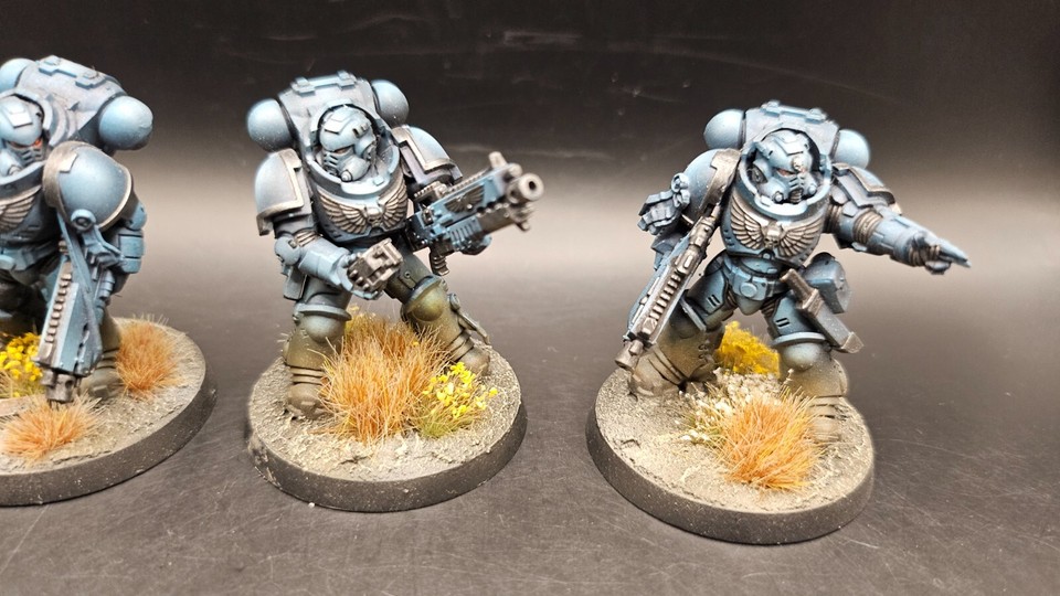 Space Marines | Heavy Intercessors | Painted & Ready for Battle | eBay