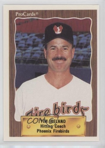 1990 ProCards Minor League Tim Ireland #28 | eBay