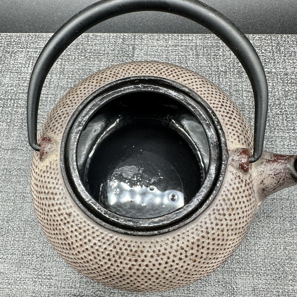 Rikyu Cast Iron Tetsubin Tea Kettle Japanese Teapot Small Hobnail ...