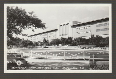 [71451] OLD ANGELENO PHOTO SERVICE RPPC THE PADDOCK, SANTA ANITA RACE ...