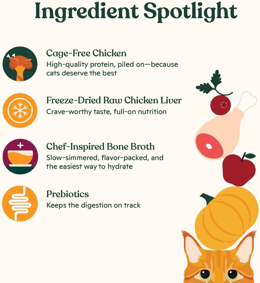 Made by Nacho Dry Cat Kibble 4lb Bag, High Protein 4 Pound (Pack of 1 ...