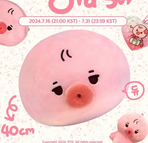 DANKO theboyz sunoo doll | eBay