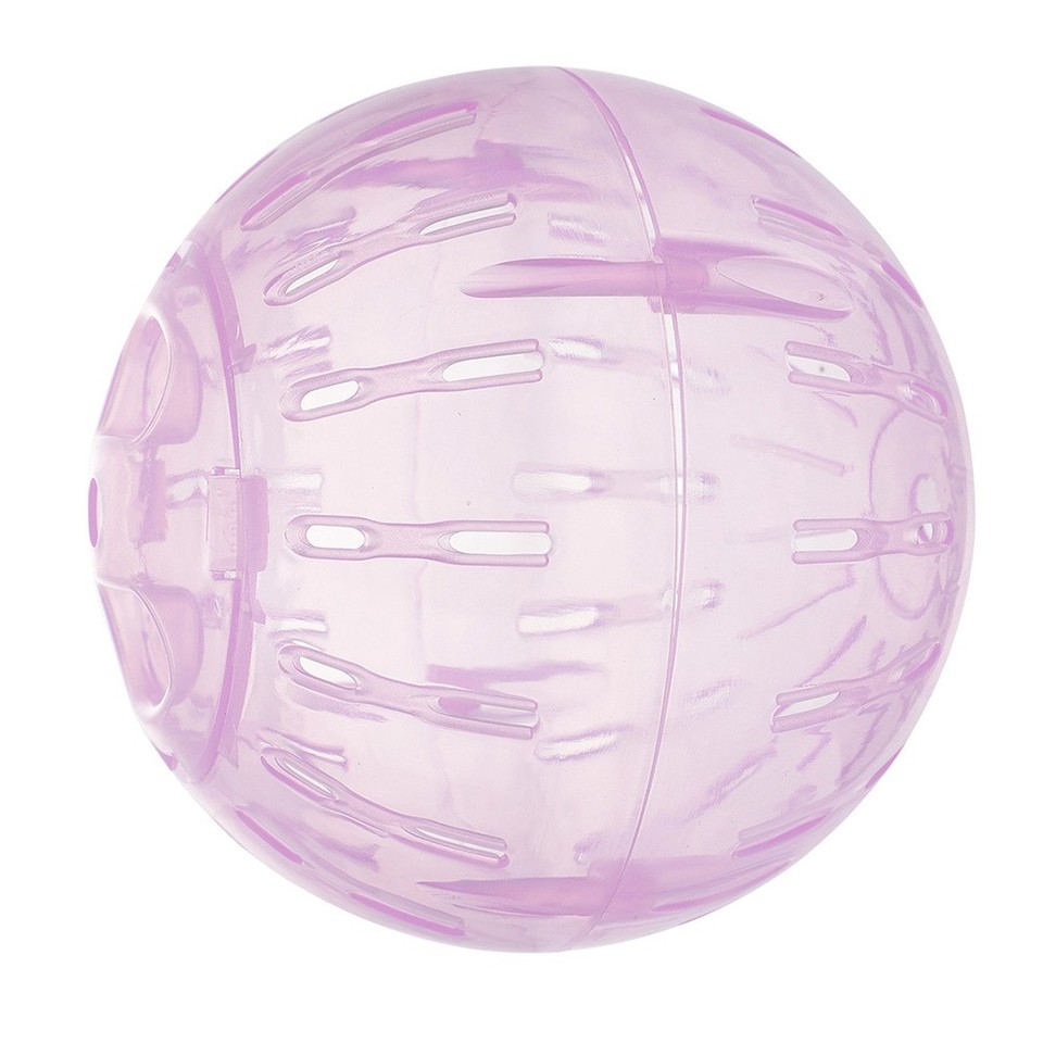 Mini Ball Toys Fitness Exercise Balls for Chinchilla Dwarf Hamster ...