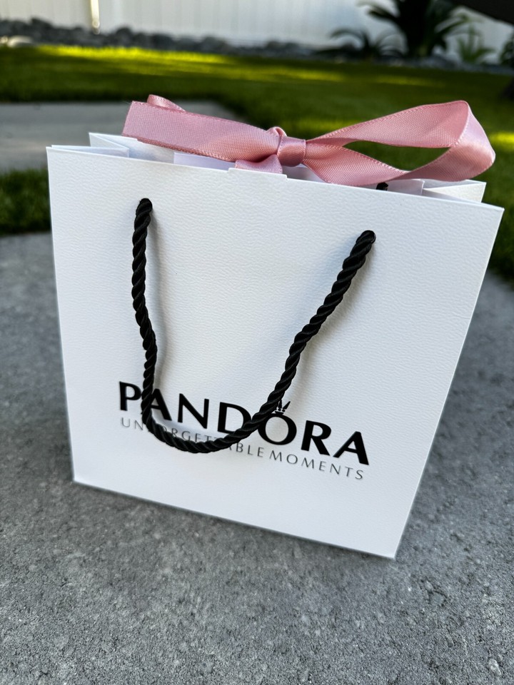 New PANDORA Gift Bag with Ribbon, Care Card and Polishing Cloth | eBay