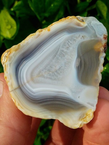 FACE POLISHED BLUE MEXICAN ROSE TRIAS AGATE FORTIFICATION BAND QUARTZ ...