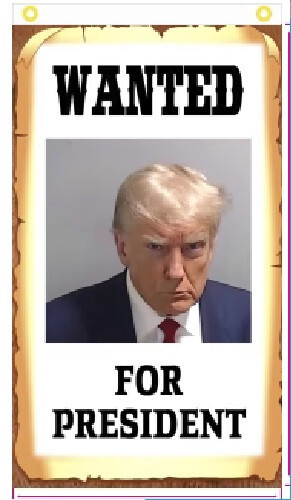 3X5 WANTED FOR PRESIDENT DONALD TRUMP 2024 MUGSHOT VERTICAL FLAG BANNER ...