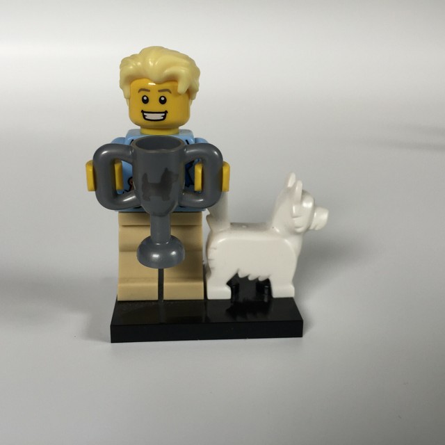 LEGO Dog Show Winner Series 16 Collectible Minifigure Set 71013 Col255 ...