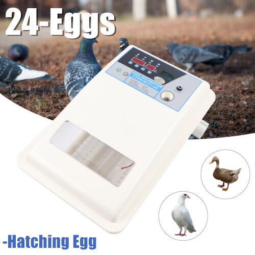 24 Eggs Auto-Turning Digital Incubator Automatic Hatch Chicken Duck Egg ...