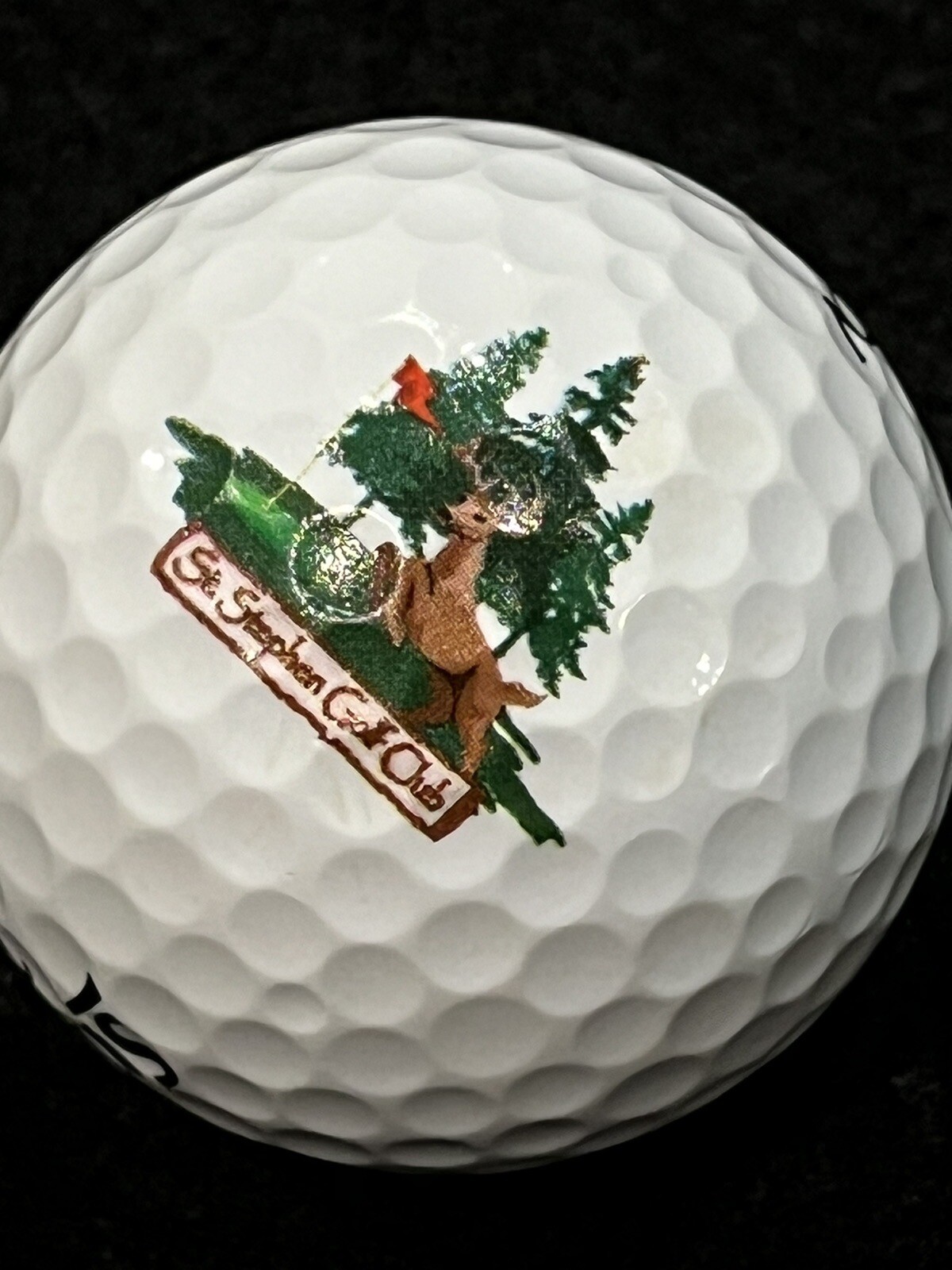St Stephen Golf Club Logo Golf Ball New Brunswick, Canada | eBay