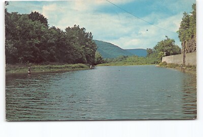 Schoharie Creek Greetings Middleburgh NY Chrome Postcard Vtg Posted ...