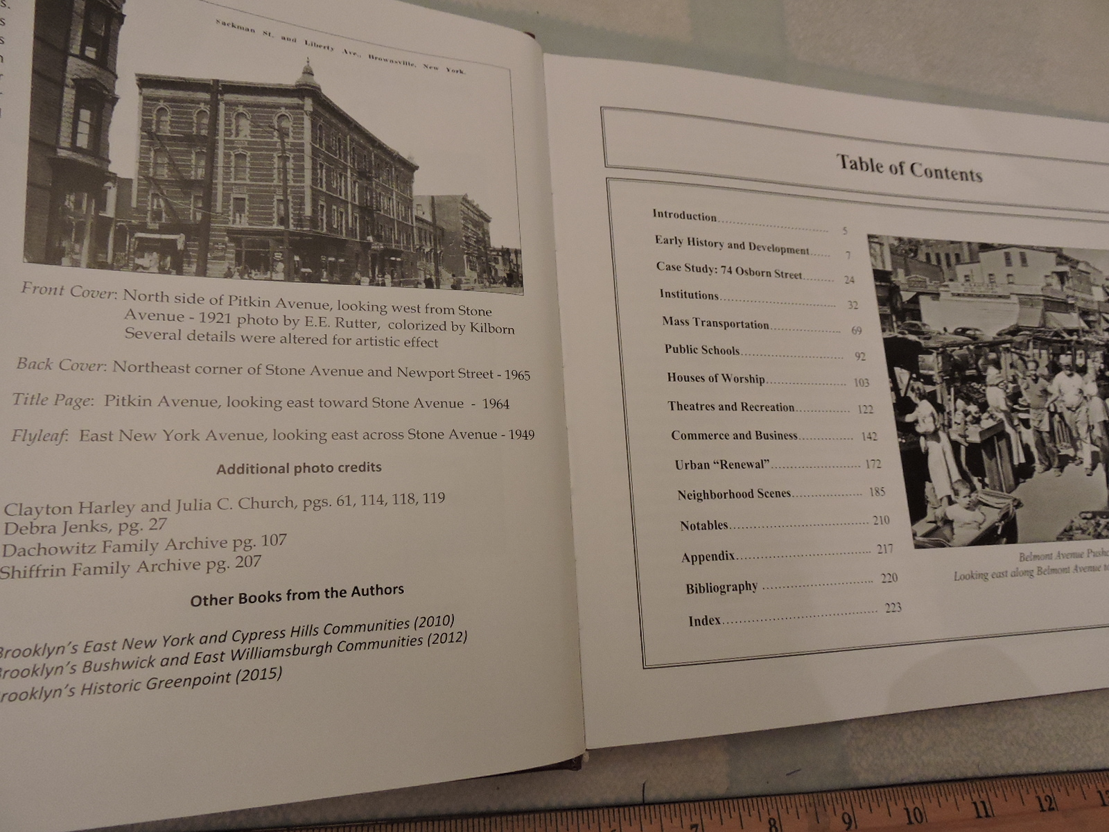 NEW Brooklyn's Historic BROWNSVILLE Book Brian Merlis African-American ...