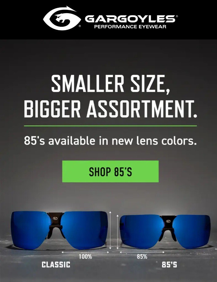 New Gargoyles Sunglasses "85s" Gold-Bronze Lens/Black Frame ~ Arnold ...