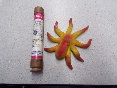 Trionic FP34-00 TRS-30R 30A 600V Fuse *FREE SHIPPING* | eBay