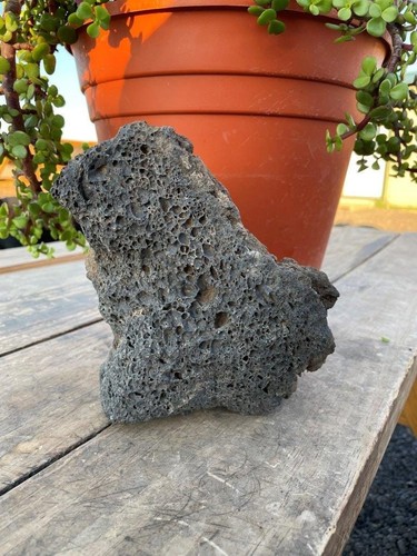 One Large, Black Lava Rock – Perfect for Terrariums, Aquariums ...