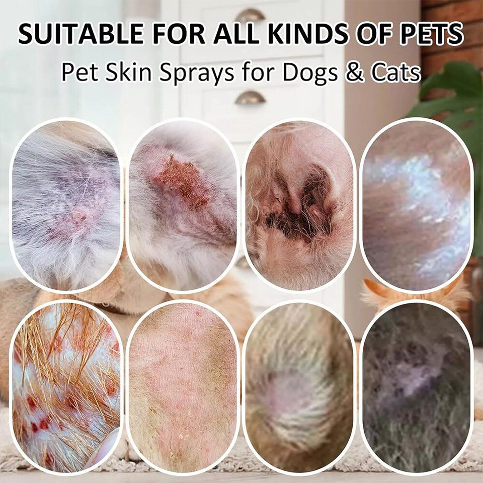 Cassiel Pet - Dog & Cat Skin Spray, Pet Skin Care Spray, Natural ...
