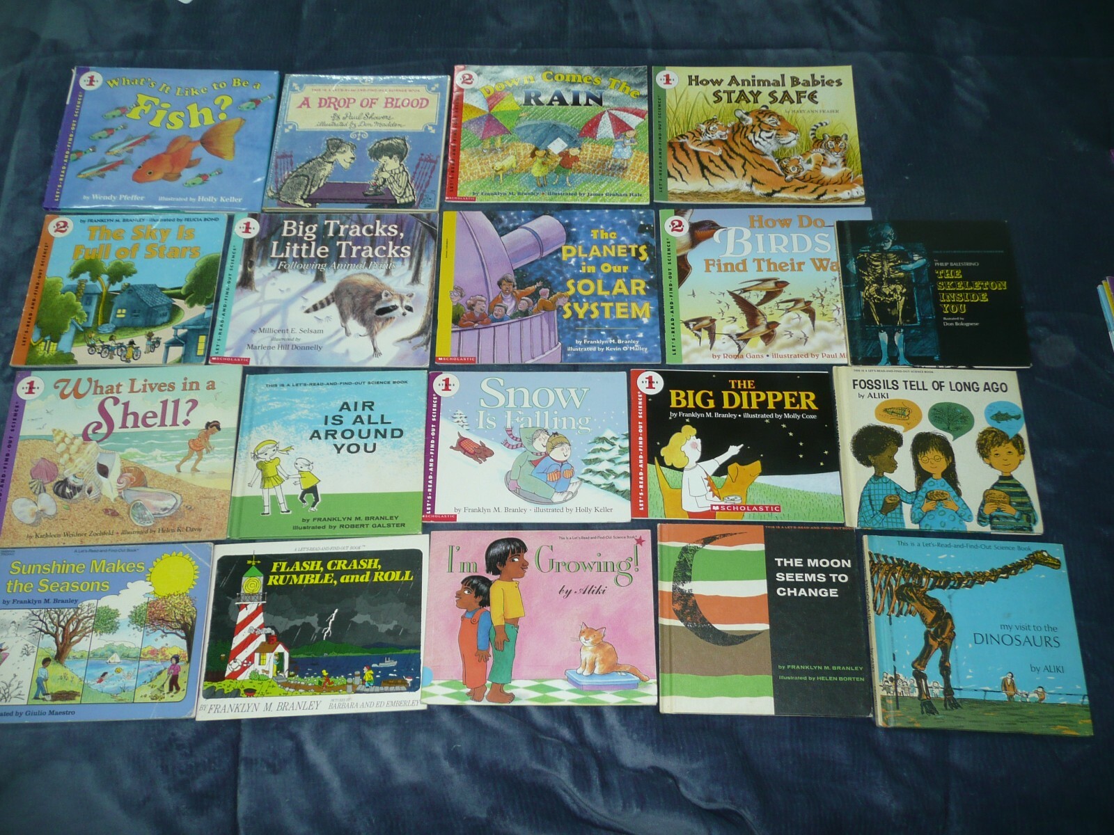 Lot of 19 LET’S READ & FIND OUT SCIENCE Picture Book HOMESCHOOL Early ...