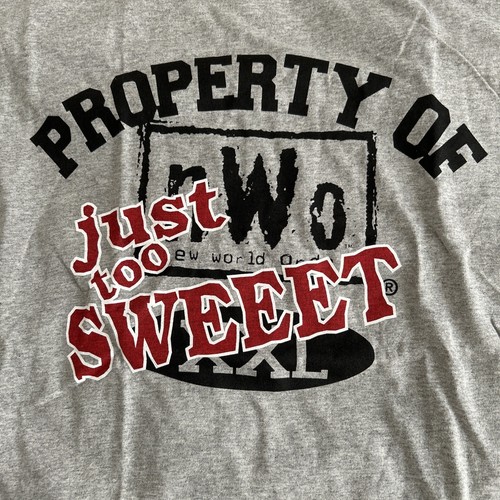 Wrestling NWO The Outsiders Nash Hall Hollywood Hogan WCW Too Sweet ...