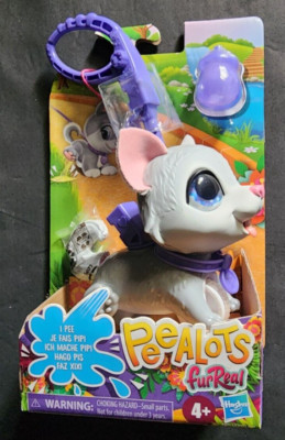 Hasbro FurReal Peealots Gray Cat Interactive Walkable Pet Toy Cat | eBay