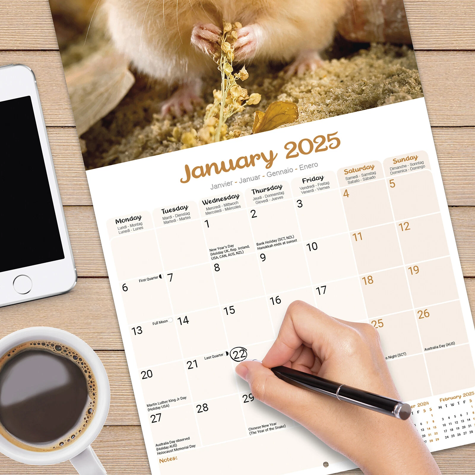 Hamsters Calendar 2025 Gift Wall Calendar 15% OFF MULTI ORDERS | ID ...