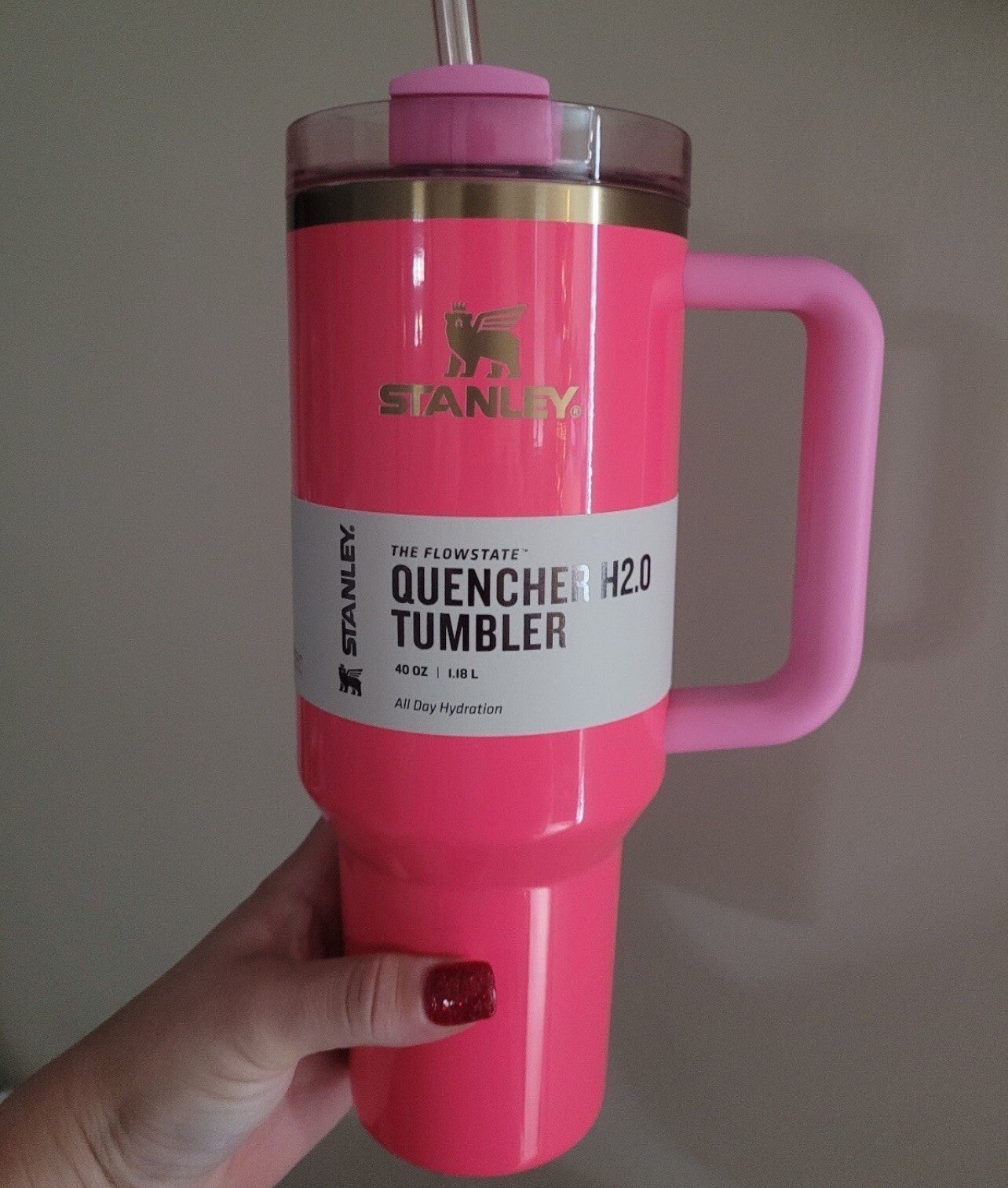 New Valentine's Day Pink Parade Stanley Cup 40oz Quencher H2.0 Clear ...