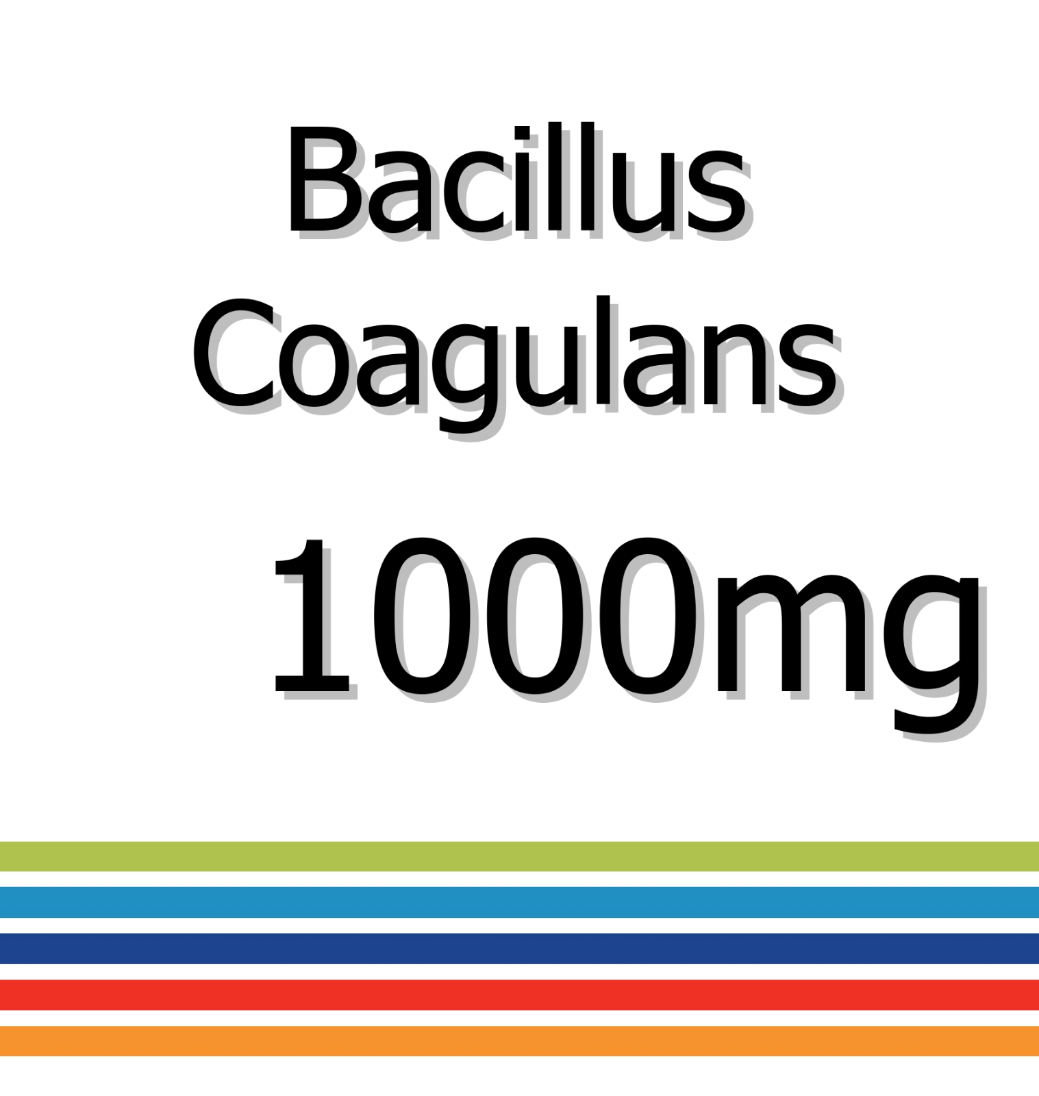 Bacillus Coagulans 1000mg x 30 Tablets - Gut Health | eBay