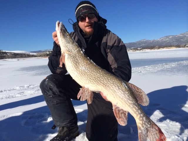 Dynamic Lures HD Ice Fishing Lure (Brook Trout) Ice Fishing Jig | eBay