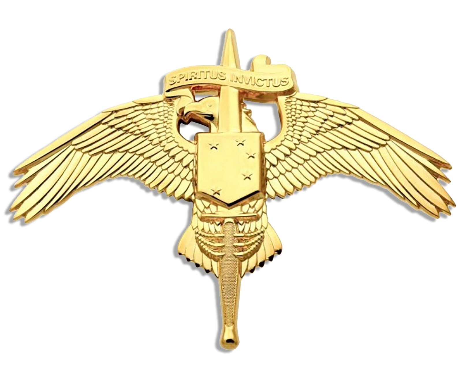 US Marine Corps MARSOC Badge Marine Forces Special Operations Command ...