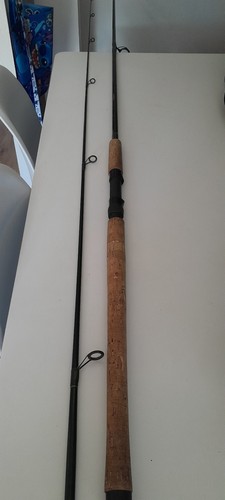 Shimano Perfection 10ft Spinning Rod | eBay UK
