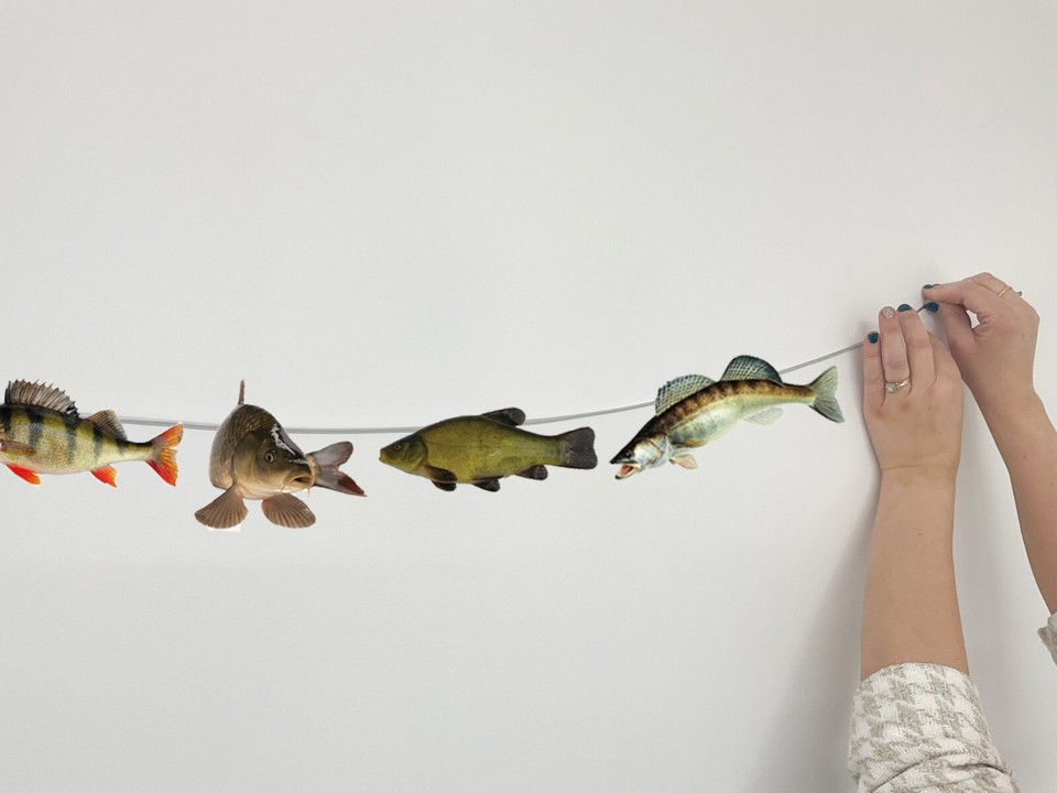 Fishing Fish Mix Bunting Birthday Events Party Decorations 12pcs | eBay UK