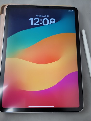 Apple iPad Pro 3rd Generation 256 GB | eBay