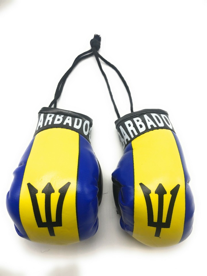 Country Flag Mini Boxing Gloves - New, One Pair, Multiple Countries ...