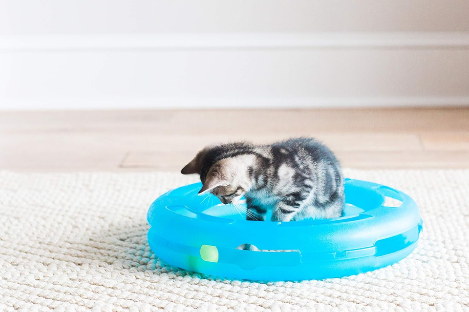 Fat Cat Crazy Circle with Catnip Ball Interactive Cat Toy | eBay