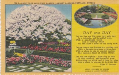 Ghost Tree & Zinnia Garden-Lambert Gardens-PORTLAND, Oregon | eBay