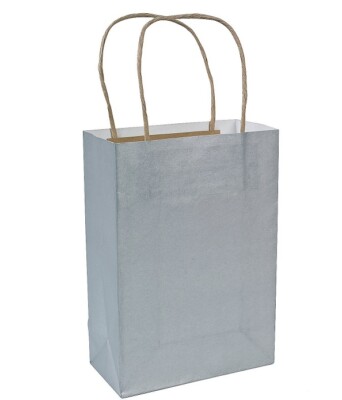 Medium Silver Kraft Paper Gift Bags (12 Pack) 1/2" x 3 1/4" x 9" | eBay