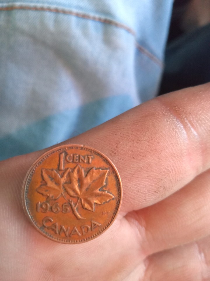 1964 CANADIAN PENNY CANADA ONE 1 CENT QUEEN ELIZABETH II | eBay