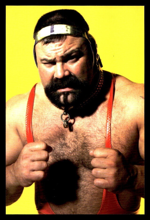 1998 Panini WCW/nWo Photo Cards - #61 Rick Steiner for sale online | eBay
