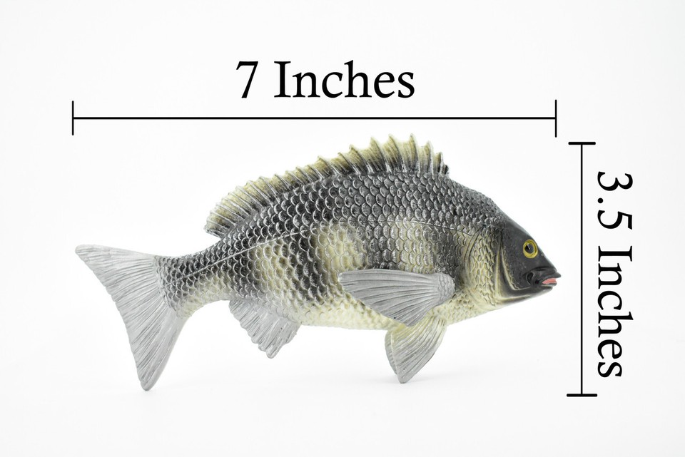 Fish, Tilapia, Nile Perch, Realistic Toy Figure, Model, Replica, 7 ...
