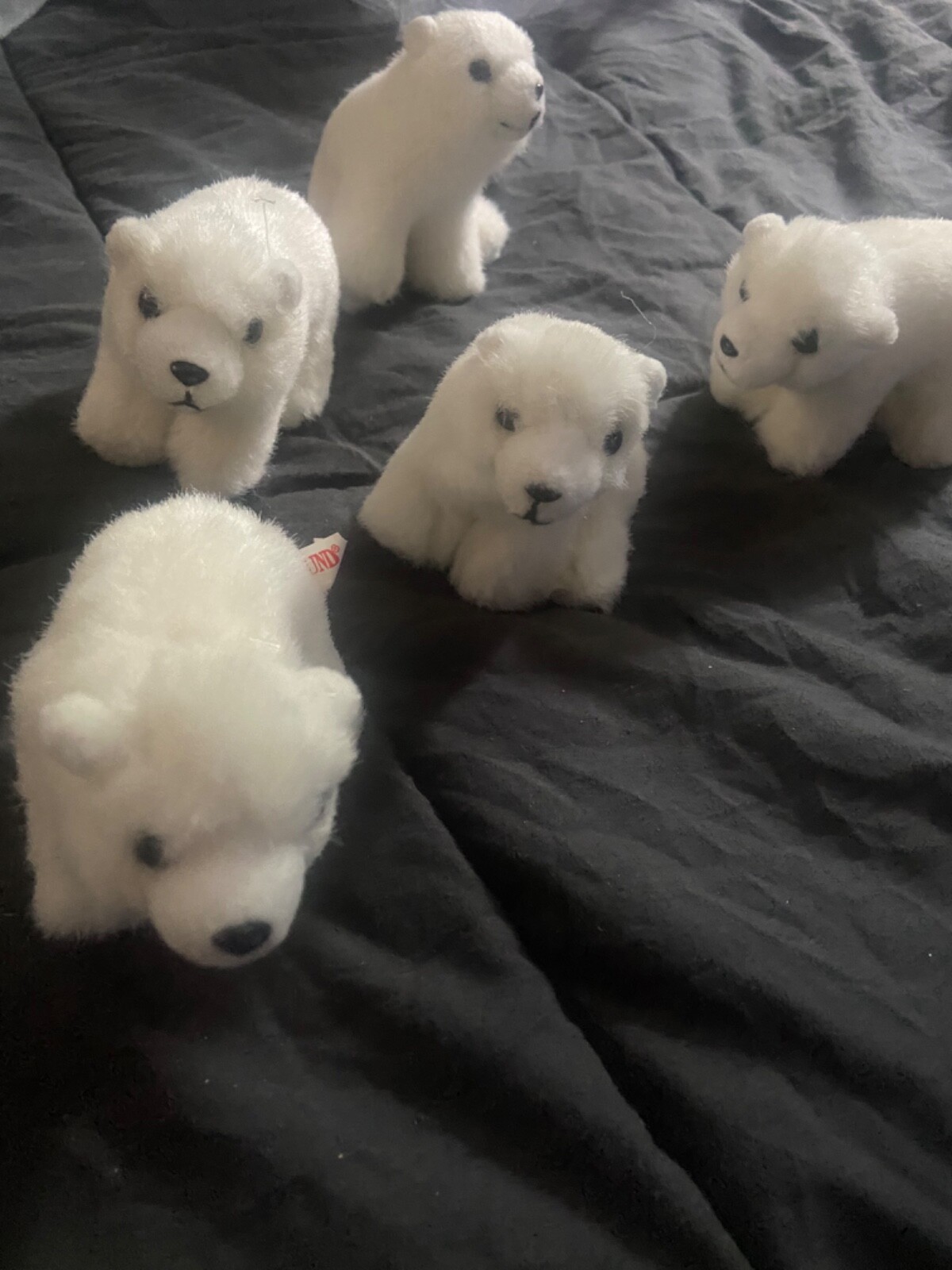 RARE LOT OF 5 Vintage Mini Gund Plush Special Zoo Bears Polar Bears | eBay