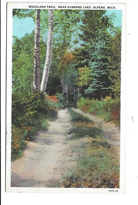 POSTCARD WOODLAND TRAIL NEAR HUBBARD LAKE DAM ALPENA MICHIGAN | eBay