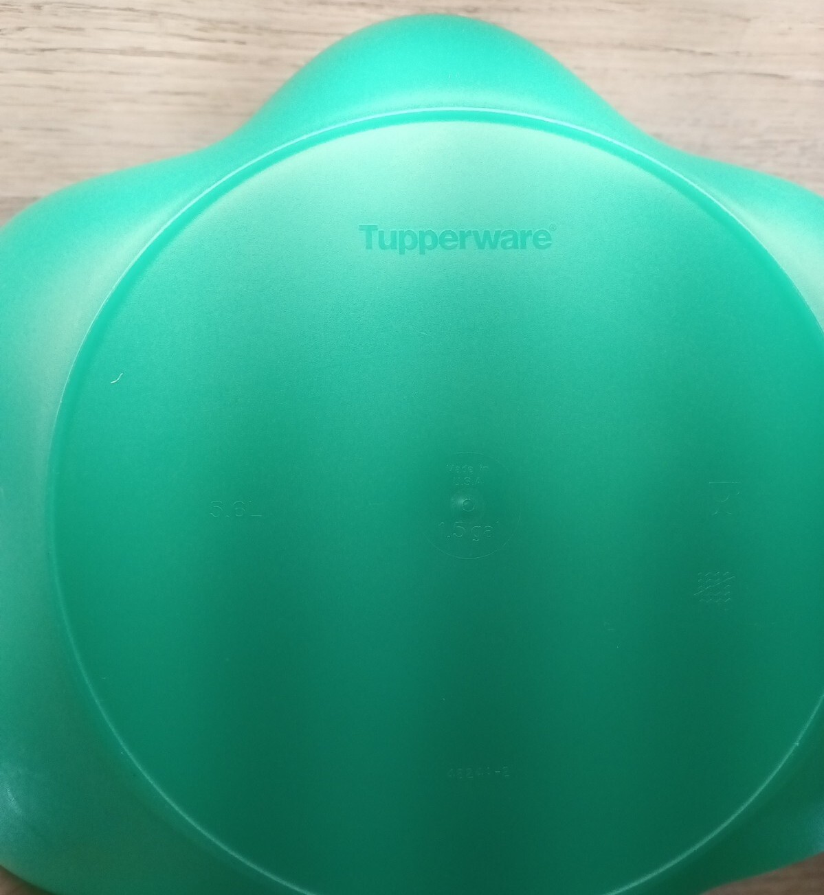VTG Tupperware Chip & Dip Green Serving Tray 1.5 Gal #4624A-2 Free ...