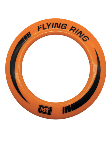 10" Neon Flying Ring Disc Frisbee Kids Summer Beach Outdoor Garden Play ...