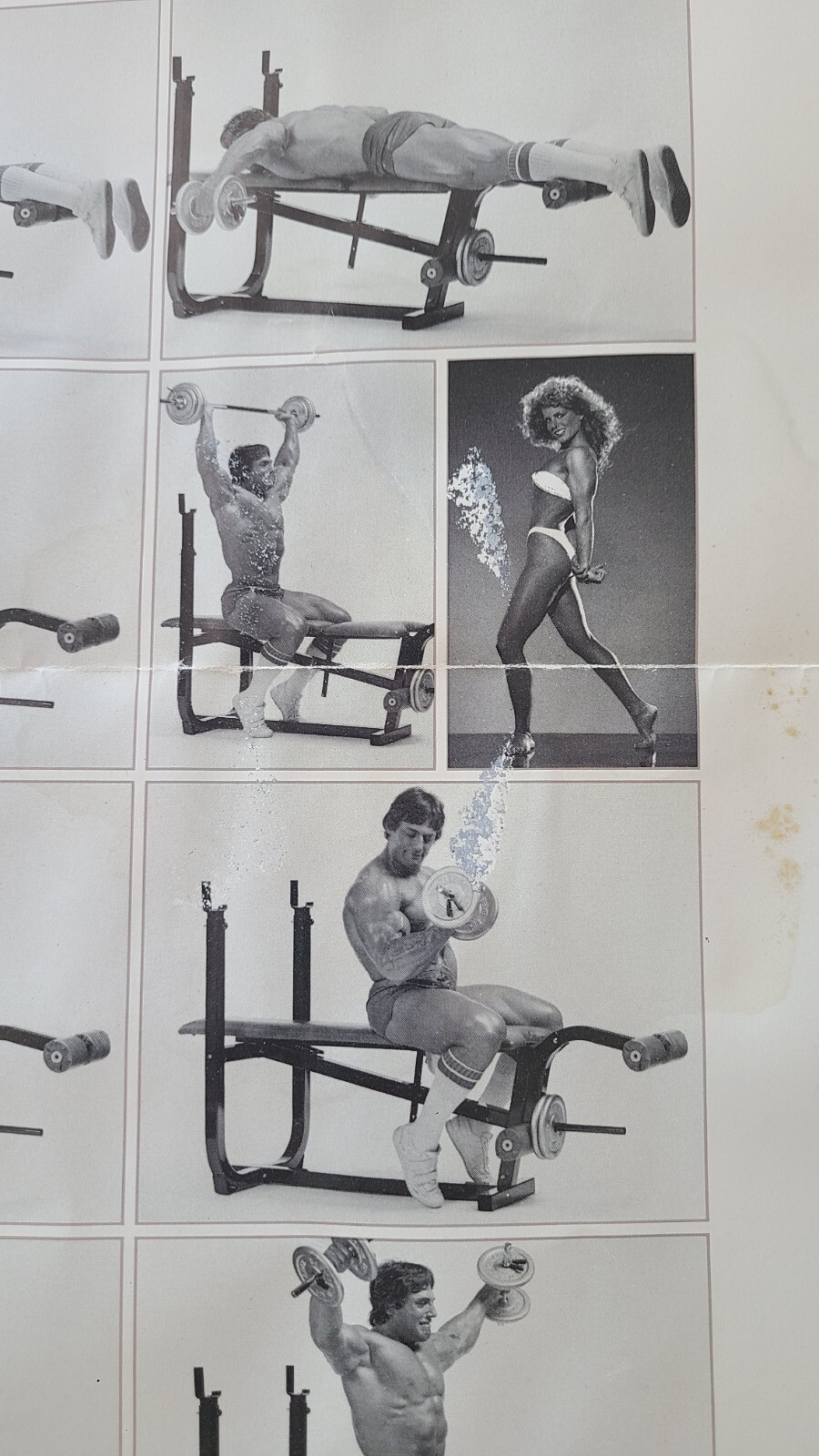Joe Weider Body Blaster Poster 1982 Bench System Workout Guide | eBay