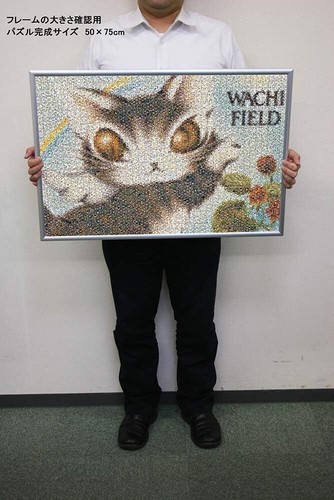 WACHIFIELD Mosaic Art 1000 Piece Jigsaw Puzzle 50x75cm JP | eBay