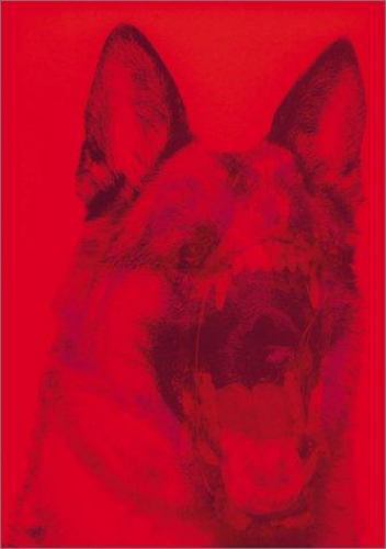 Sagmeister : Made You Look by Peter Hall (2001, Hardcover) for sale ...