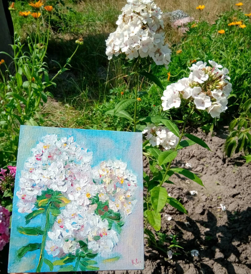 phlox original oil painting, bouquet of white phlox art, summer flower ...