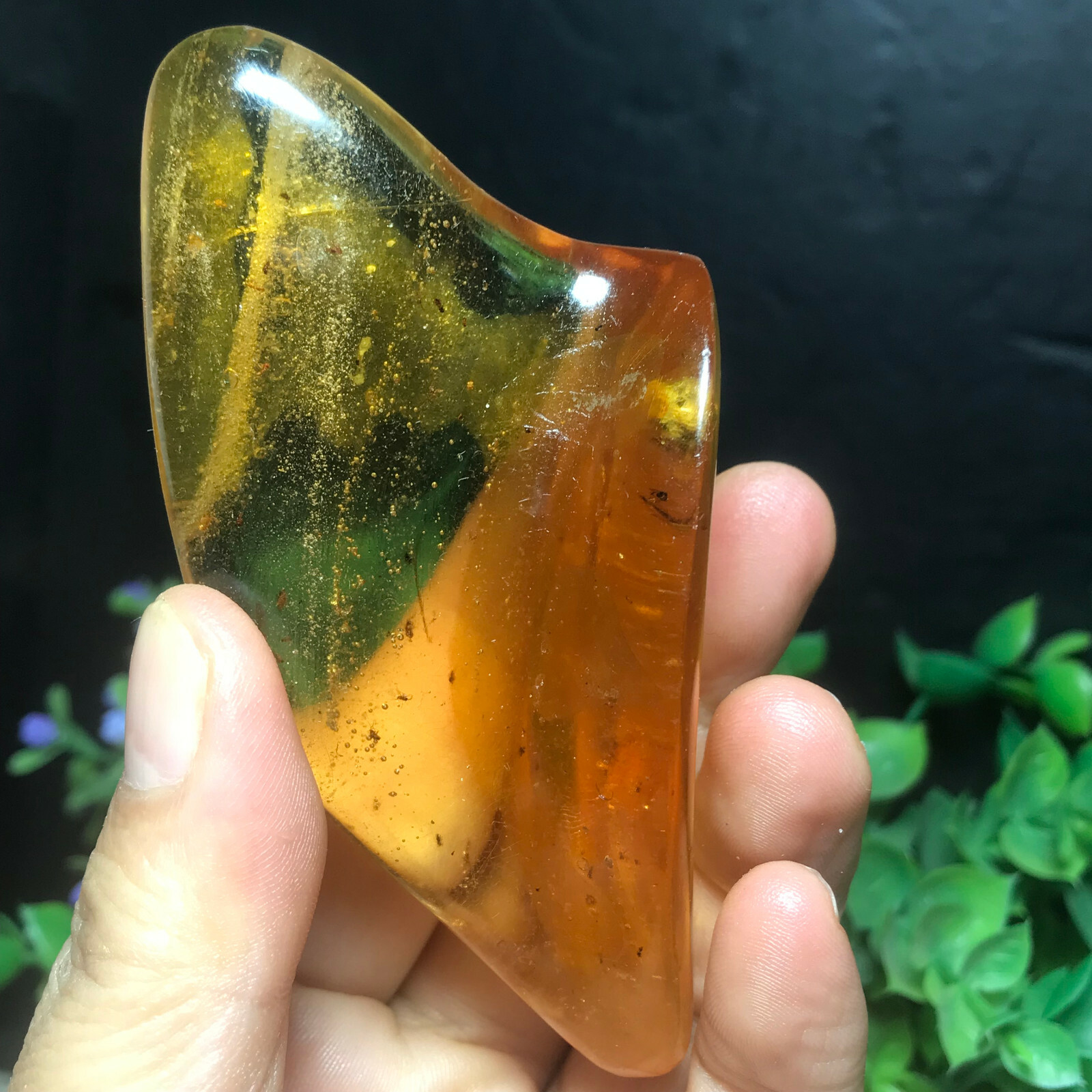 40g Genuine Baltic Amber Polished Nugget Insect Inclusion Rare Specimen ...