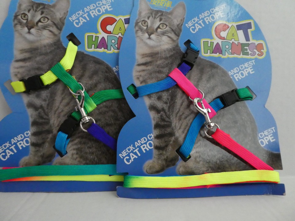 (H012) Multi Coloured Cat Kitten Small Puppy Adjustable Harness & Lead ...