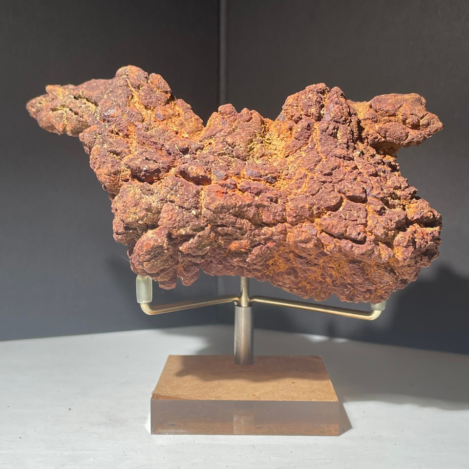 450g Rare Natural Dinosaur dung Fossil coprolite Petrified Poop ...