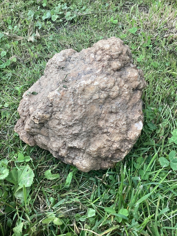 9 Lb + Indiana Geode Crystals , minerals,fossil Intact Jewelry Lapidary ...