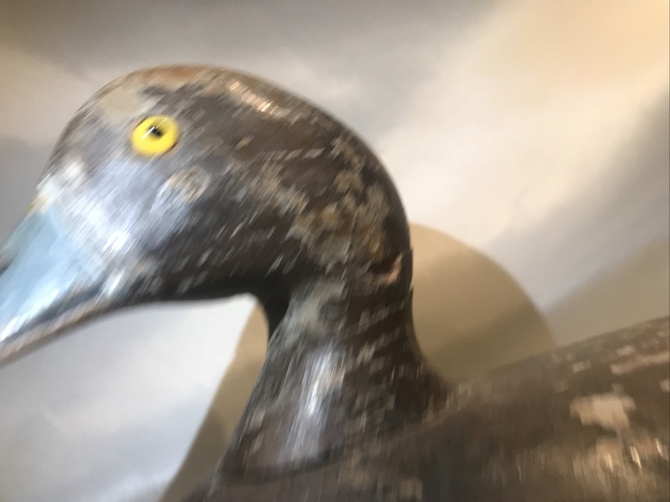 george stevens weedsport New York redhead broadbill drake duck decoy | eBay